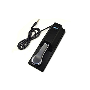 HQRP Sustain Pedal compatible with Casio WK-220 WK-225 LK-50 LK-55 LK-73 LK-230 LK-160 LK-165 LK-240 LK-270 LK-280 XW-P1 XW-G1 WK-200 WK-1300 WK-240 WK-245 WK-7600 Keyboards