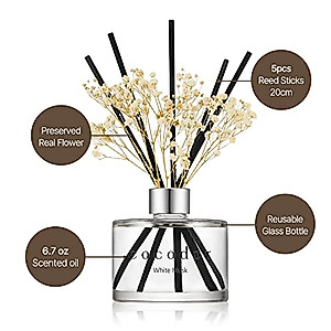 COCODOR Preserved Real Flower Reed Diffuser/April Breeze / 6.7oz(200ml) / 1 Pack/Reed Diffuser Set, Oil Diffuser & Reed Diffuser Sticks, Home Decor & Office Decor, Fragrance and Gifts