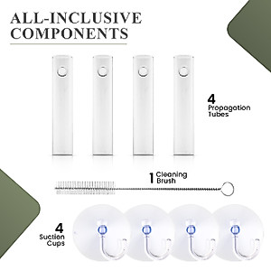 Window Propagation Stations (Set of 4) | Easy to Install Plant Propagation Tubes with Suction Cups - No Nails | Hanging Propagation Station | Gifts for Plant Lovers | Hanging Terrarium
