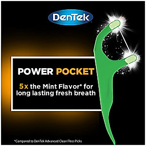 DenTek Fresh Breath Floss Picks, Mint Flavor, 400 Floss Picks
