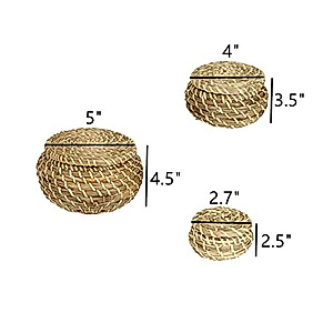 Dicunoy Set of 3 Small Wicker Basket with Lid, Round Woven Seagrass Baskets, Little Handmade Rattan Storage Basket Box for Shelf, Home, Bathroom Decor