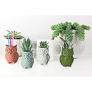 First of a Kind Owl Shaped Vases (Set of 4) - Ceramic Owl Succulent Planter Pots - Owls Gifts for Women - Owl Decor Vase - Farmhouse Stoneware Vases for Home Decor & Garden Gift