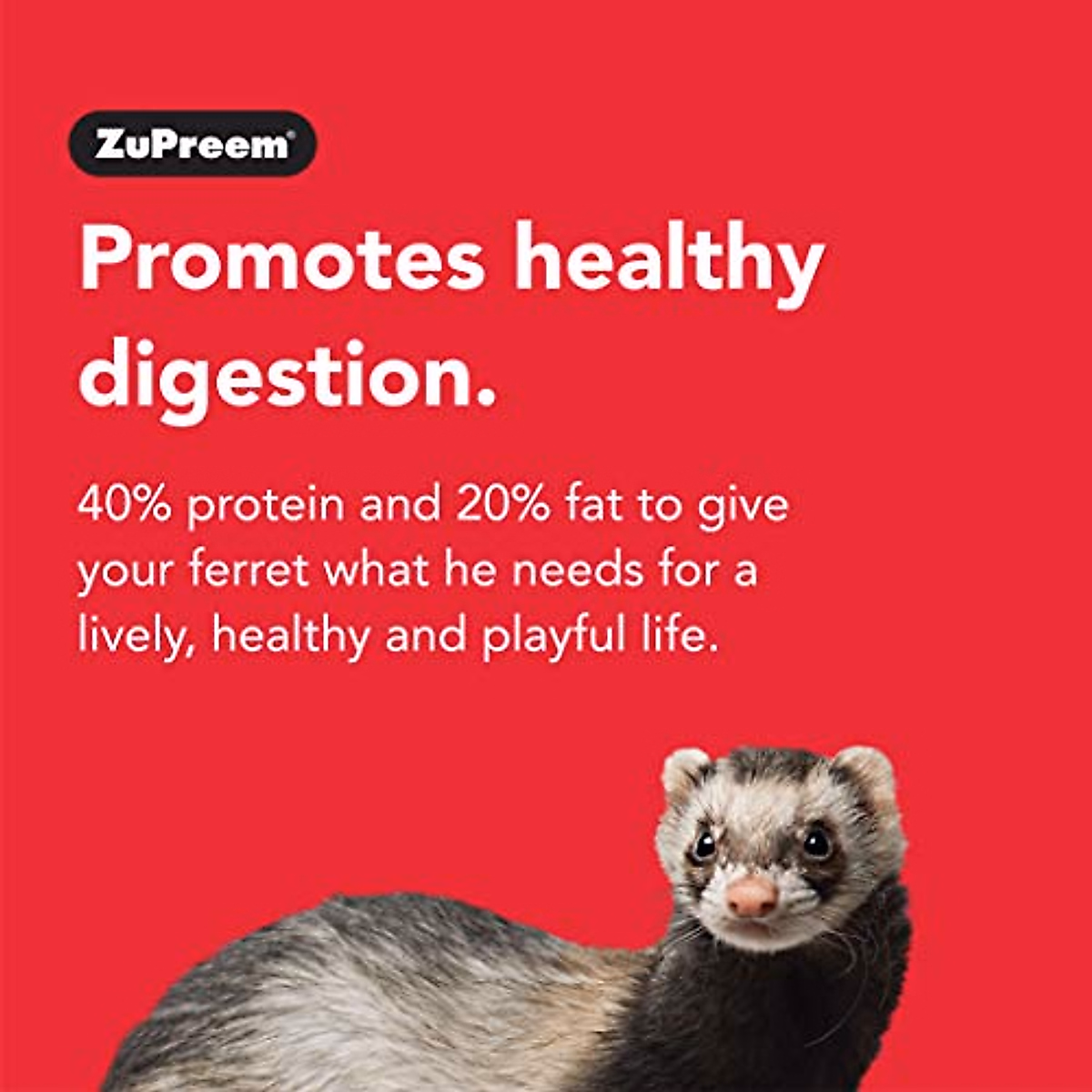ZuPreem Premium Daily Ferret Food, 8 lb - Made in USA, Complete Nutrition Diet, Highly Digestible, No Corn