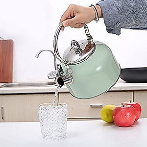Fast Boiling Whistling Teapot for Stove top, Ultralight Tea Kettle Stainless Steel 3L Water Kettles with Heat Resistant Ergonomic Handle for Outdoor / Home Kitchen, Green, (FL1002)