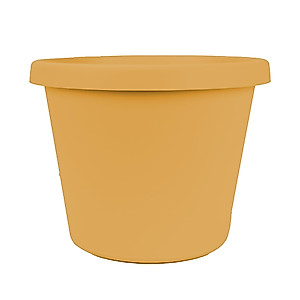 The HC Companies 12 Inch Round Prima Planter - Plastic Plant Pot with Rolled Rim for Indoor Outdoor Plants Flowers Herbs, Honey