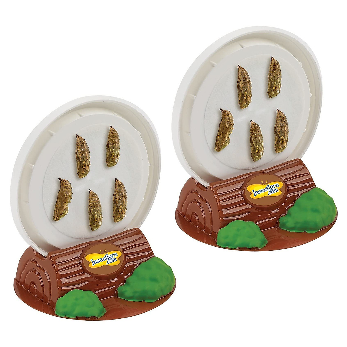 Butterfly Garden with Two Live Cups of Caterpillars - Includes Both English and Spanish Butterfly STEM Activity Journals