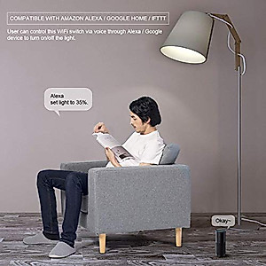 WiFi Dimmer Switch, Bresuve Dimmer Switch Module DIY Wireless Module WiFi Light Switch Timmer Compatible with Alexa/Google Home