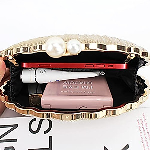 Felice Ann Women Mini Seashell Evening Bag Clutch Handbag Chain Strap Cross-body Shoulder Bag,Pleated Golden