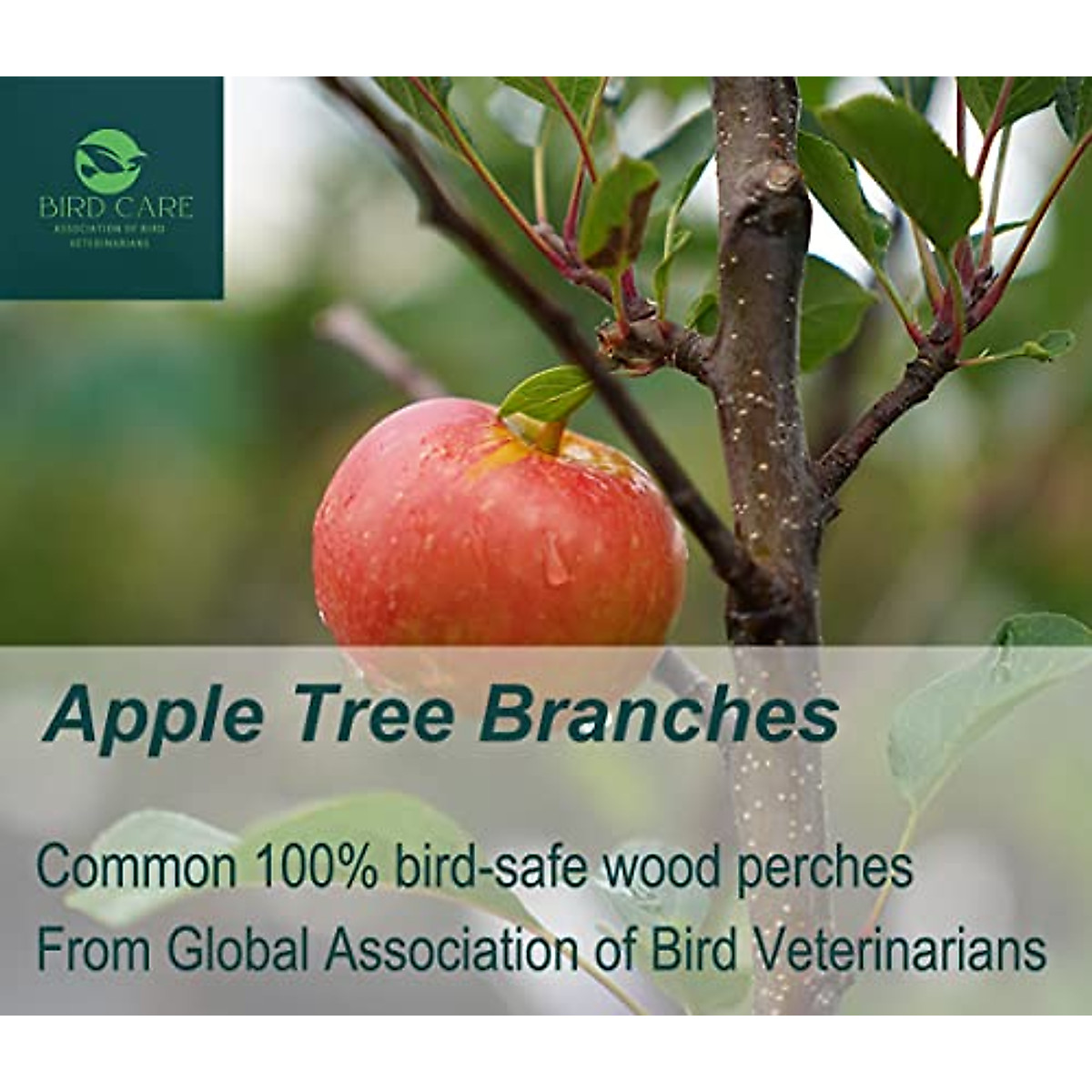 Luonfels Bird Perches Apple Wood Large Parrot Perch, 18" Ladder for Birds Cages Parakeet Conure Cockatiel Toys Accessories Pack of 4