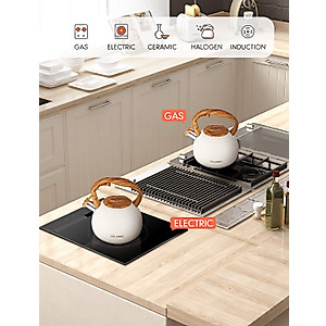 Tea Kettle, 2.7 Quart / 3 Liter BELANKO Stainless Steel Kettles for Stove Top, Food Grade Teapot with Wood Pattern Handle Loud Whistling for Coffee, Milk etc, Gas Electric Applicable - Milk White