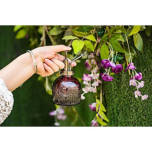 Glass Plant Mister Spray Bottle, 6.3inch Tall Vintage Plant Spritzer Watering Can, Succulent Watering Bottle with Top Pump, Plant Mister Glass Watering Garden Tool (Grey Red Gradient)