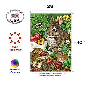 Toland Home Garden 101176 Berry Sweet Easter Flag 28x40 Inch Double Sided Easter Garden Flag for Outdoor House Spring Flag Yard Decoration