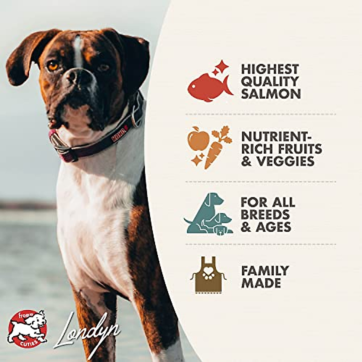 Fromm Four-Star Nutritionals Salmon A La Veg Dog Food - Premium Dry Dog Food - Salmon Recipe - 26 lb
