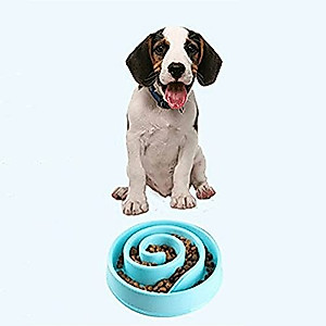 FUUIE Bowls for Food and Water Pet Dog Feeding Food Bowls Puppy Slow Down Eating Feeder Dish Bowl Prevent Obesity Pet Dogs Supplies (Color : Blue)