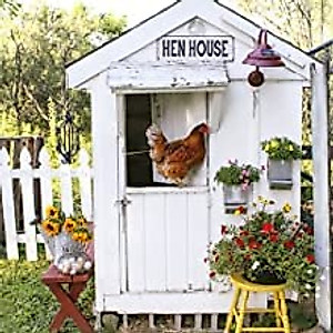 Amtrak Solar 12-Inch Solar Attic Fan, Powerful 100 Watt Fan Quietly Cools Attic, Garage, or Greenhouse & Ventilates to Protect Against Moisture