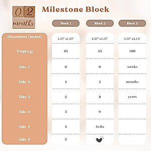 Monthly Baby Milestone Blocks Set of 3 Baby Age Blocks for Monthly Milestone Baby Age Milestone Signs Wooden Baby Photo Props Set Perfect for Baby Shower and Keepsake (Gift Set 3 PCS)