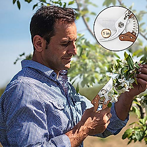 Pruning Shears Garden Clippers Plant Trimming Scissors Branch Bypass Bonsai Hand Pruners Rose Flower Hedge Tree Plant Cutter Small Pofessional Snips Stainless Steel Gardening Tools