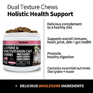 HEYISME Lysine Supplement for Cats, Cat Treats for Sneezing and Runny Nose, Cat Cold, Cat Immune Support, Eye Function, and Respiratory Health, L-Lysine cat Vitamins for Cats (120 Pills, Salmon)