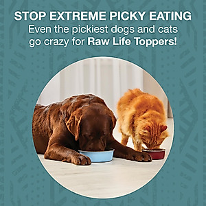 KOHA Raw Life Freeze-Dried Raw Topper Elk & Venison for Dogs and Cats, High Protein Meal Topper for Picky Eaters with Probiotics, 8oz Bag