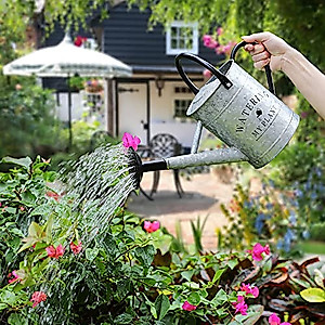 Garutom Galvanized Watering Can for Outdoor Plants, 1 Gallon Decorative Countryside Style Watering Can with Removable Spout, Perfect Metal Watering Can for Indoor Plants and Garden Flower