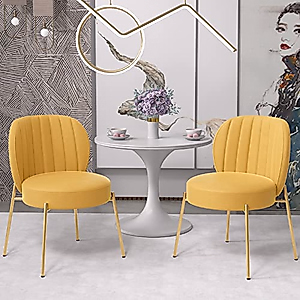 Sucrever Dining Chairs Set of 2, Upholstered Dining Chairs, Kitchen & Dining Room Chairs, Mid Century Modern Velvet Accent Chair with Gold Legs/Wide Seat for Dining Kitchen Living Room Bedroom, Yellow