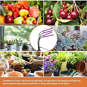 JSYBOY Grow Lights for Indoor Plants LED Grow Light for Seed Starting with Red Blue Spectrum, 3/9/12H Timer, 10 Dimmable Levels & 3 Switch Modes, Adjustable Gooseneck Suitable for Various Plant