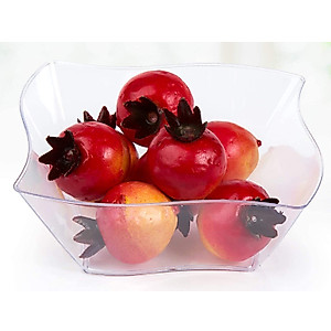 Healthcom 48 Packs 5 Oz Clear Dessert Bowls Plastic Appetizer Plates Dessert Dishes Bowls Tasting Cups Mini Dessert Bowls Serving Plate Reusable Disposable Bowls Small Catering Dessert Bowls for Party