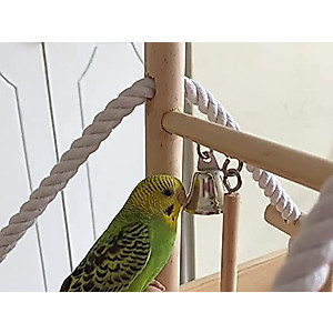 PENN-PLAX Bird Life Foldable Playpen – Perfect for Parakeets, Lovebirds, Cockatiels, and Conures – Great Storage Solution – Extra-Extra Large Size (Natural Brown)