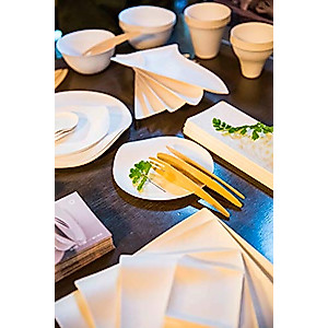 WASARA DM-014R Long Plate, White, 11.8 inches (30 cm), 6 Pieces