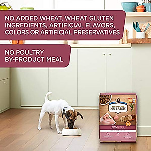 Rachael Ray Nutrish Little Bites Dry Dog Food, Chicken & Veggies Recipe for Small Breeds, 14 Pounds