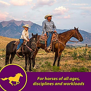 Horse Health Red Cell, Liquid Vitamin-Iron-Mineral Supplement for Horses, Helps Fill Important Nutritional Gaps in Horse's Diet, 1 Qt., 32 Oz., 16-Day Supply