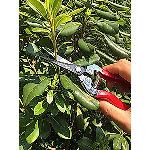 gonicc Professional Micro-Tip Pruning Snip (GPPS-1008), Small Garden Hand Pruner & shears For Arranging Flowers, Trimming Plants & Hydroponic Herbs, And Harvesting Fruits & Vegetables.