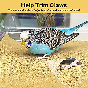 S&X Gravel Paper for Bird Cage 12-Pack 16” x 10” Gravel Liner Paper Sand Sheets Bird Cage Liners