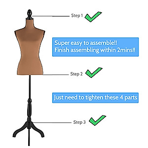 DRDINGRUI Female Mannequin Torso with Stand, Height Adjustable Dress Form with Tripod Base for Jewelry Display