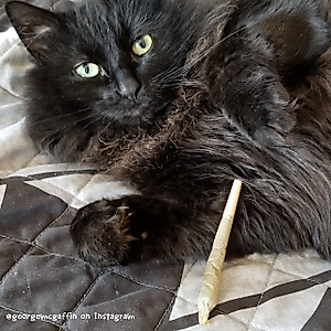 Meowijuana | Get Higher Bundle | Get Higher Kite, King Size Catnip Joints, and Whisker Tickler | Promotes Play and Cat Health | Includes Organic Catnip | Feline and Cat Lover Approved