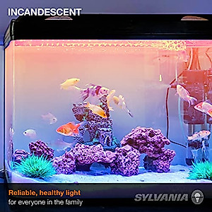 SYLVANIA T10 Incandescent 25-Watt Tubular Incandescent Bulb, Medium Base, 230 Lumens, 100 CRI, 2580K, Clear (18491)