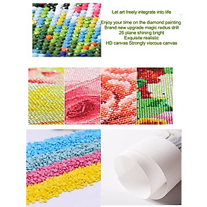 DWDABAO 5D Wings Angel Diamond Painting Art Set Feather Wings Painting Cross-Stitch Crystal Diamond Embroidery Painting