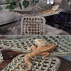 PINVNBY Bearded Dragon Hammock,Reptile Lizard Lounger Natural Seagrass Habitat Decoration Reptiles Tank Accessories Jungle Climber Vines Flexible Leaves Climbing Decor for Gecko Chameleon Snakes