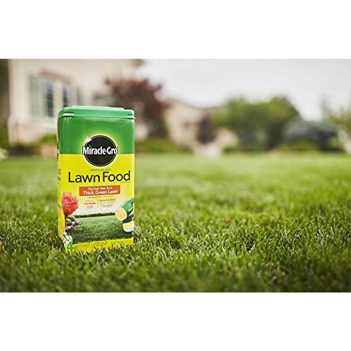 Miracle-Gro® Water Soluble Lawn Food, 5 lb.