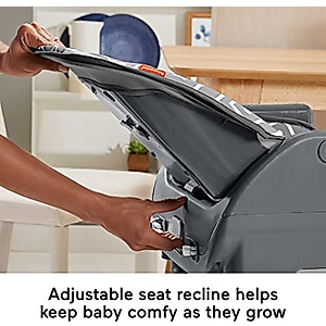 Fisher-Price Baby to Toddler Deluxe High Chair and Portable Booster Seat with Tray Liner Plus Washable Seat Pad and Tray, Gray Tribal