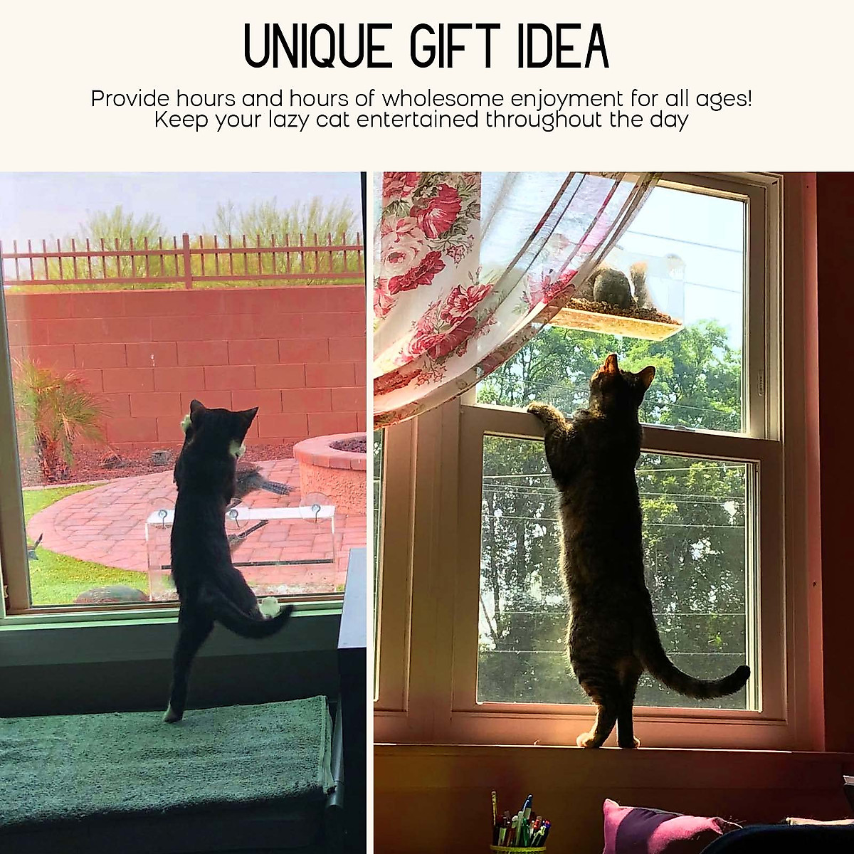 MrCrafts Window Bird Feeder for Outside with Strong Suction Cups, Fits for Cardinals, Finches, Chickadees etc