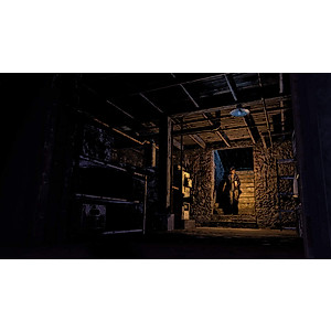 Telltale's The Walking Dead: The Final Season (PS4)