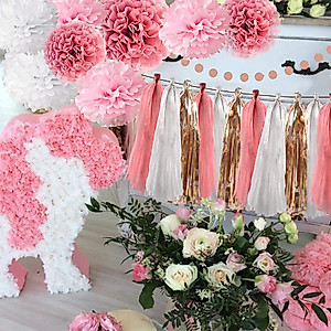 OuMuaMua Pink Rose Gold Birthday Party Decorations Set, Rose Gold Glittery Happy Birthday banner, Tissue Paper Pom, Circle Dots Garland and Tassel Garland for Birthday Party Decorations