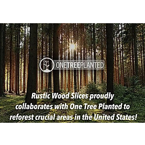 Set of (10) 12-13 inch Wood Slices for centerpieces! Wood Slice centerpieces, Wood Rounds, Tree Slices (12 inch)