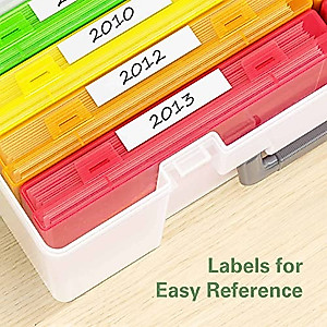 Zarler Photo Storage Box 4x6 Picture Boxes, 18 Inner Seed Organizer Cases with Handle, Photo Storage Container Photo Keeper with Provided Sticker Labels (Rainbow)