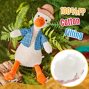 Houwsbaby 11'' Easter Duck Stuffed Animal in Plaid Shirt Easter Duck Plush Toy with Hat, Adorable for Totter Kids Boys Girls Holiday Christmas Birthday, Beige