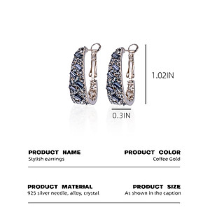 Qlady Crystal Hoop Earrings For Women Bright Silver Plated Oval Inside Out Earring,Sparkly Earring Jewelry