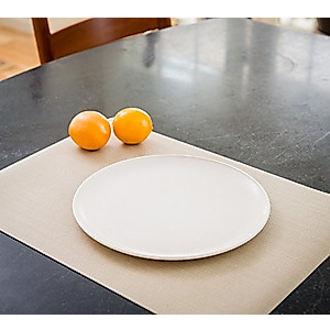 EVO Sustainable Goods 10" Plate, Set of Four, White