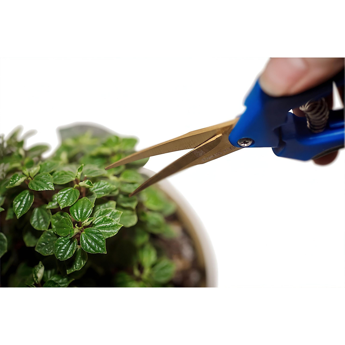 Happy Hydro - Trimming Scissors - Curved Tip - Titanium Coated Blades with Spring-Loaded Comfort Grip Handles - 1 Pack