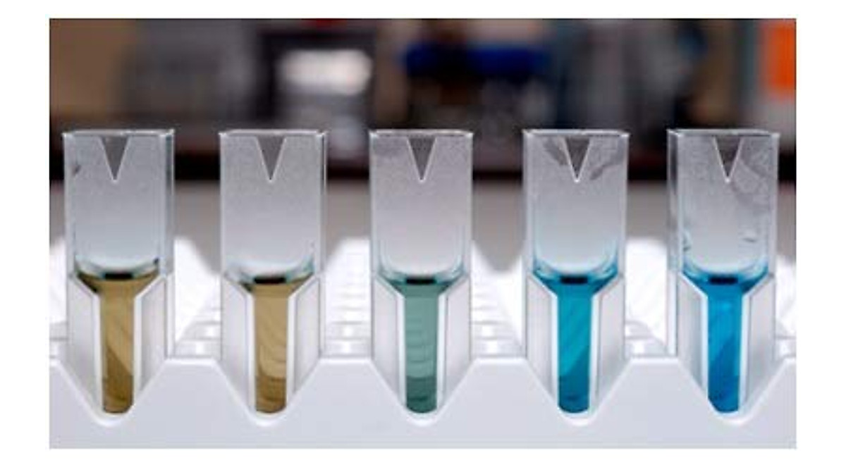 Total Protein Assay Kit - Reliable BSA Standard